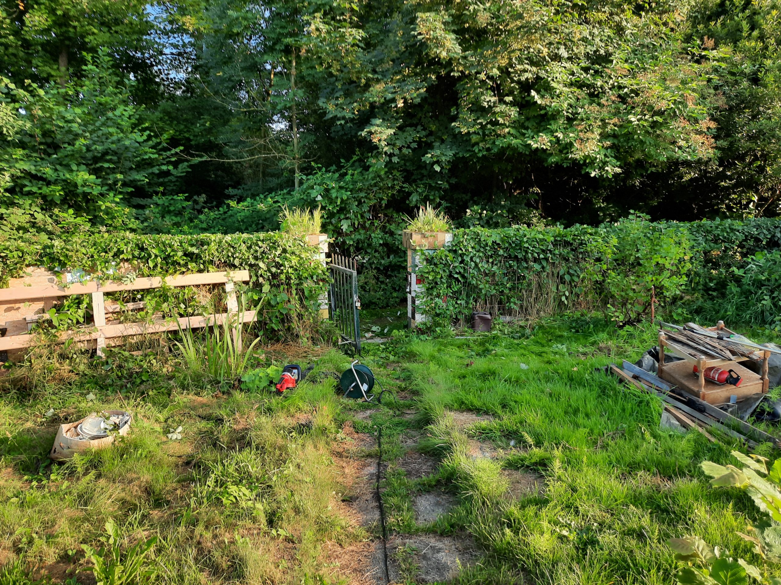 Permakulturdesign im Schrebergarten